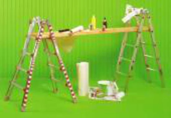 The Waku Telescopic Ladder - BLS Ladders
